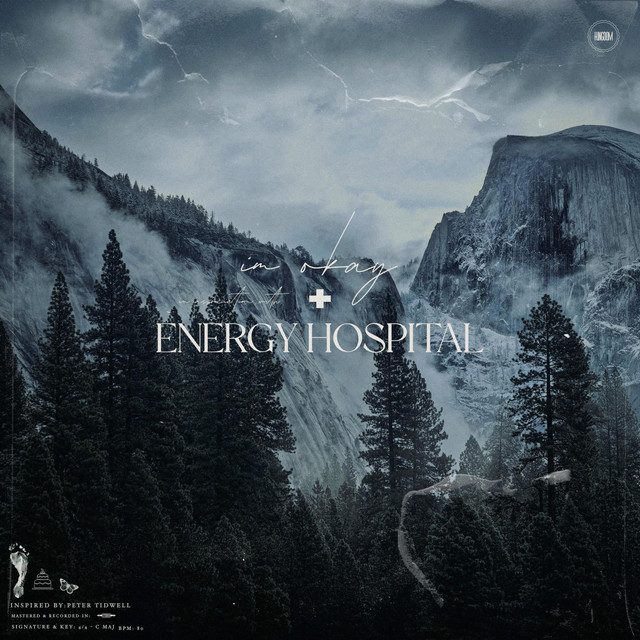 I'm Okay - Single by St. Finnikin | Spotify