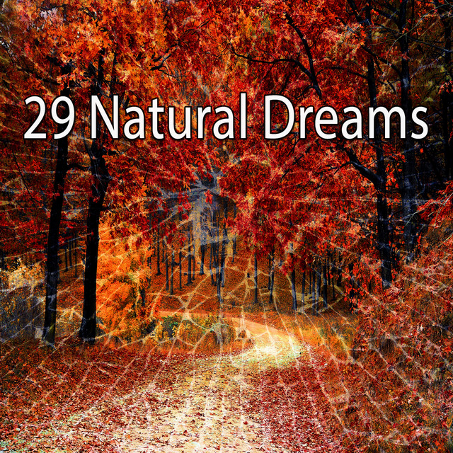 29 Natural Dreams - Album by Forest Sounds | Spotify
