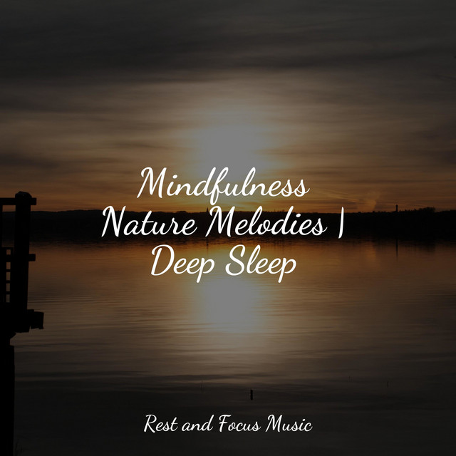 Mindfulness Nature Melodies | Deep Sleep - Album by Ambient Forest ...