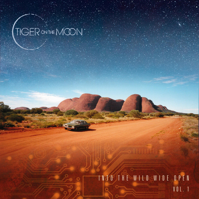 Into The Wild Wide Open, Vol. 1 - EP by Tiger on the Moon | Spotify