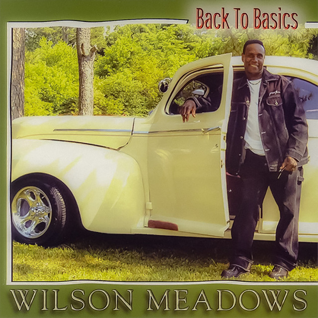 Stop Cheating Love - song and lyrics by Wilson Meadows | Spotify