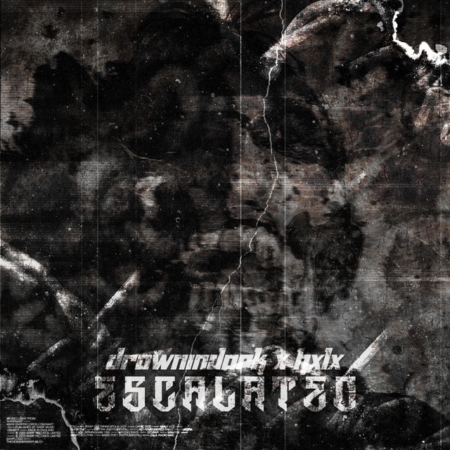 Escalated - Single by NEEDLEGUTS | Spotify