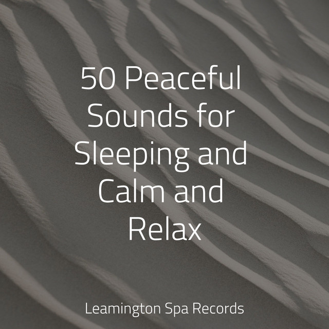 50 Peaceful Sounds for Sleeping and Calm and Relax - Album by Natural ...