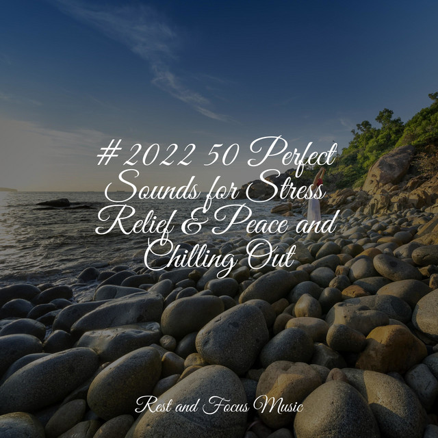 #2022 50 Perfect Sounds for Stress Relief & Peace and Chilling Out ...