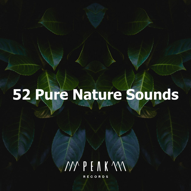 52 Pure Nature Sounds - Album by Nature Recordings | Spotify