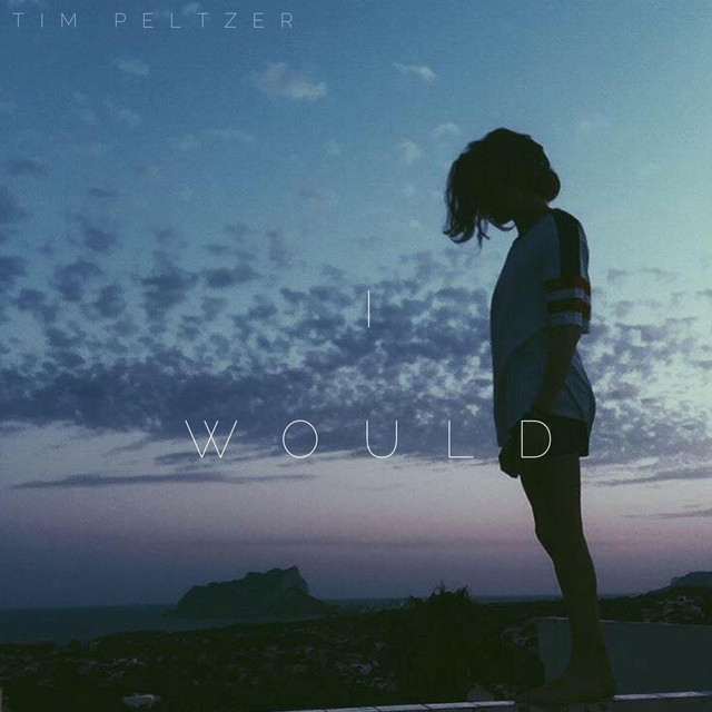 I Would - Single by Tim Peltzer | Spotify