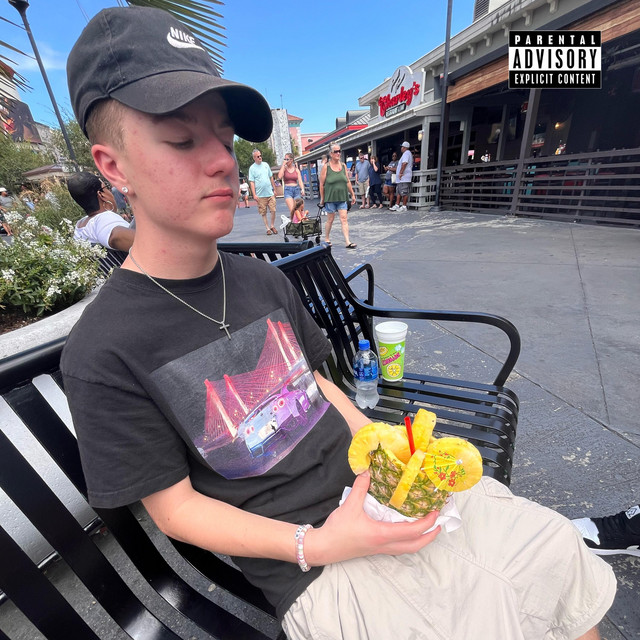 WilmyWood - Single by Tyler Snake | Spotify