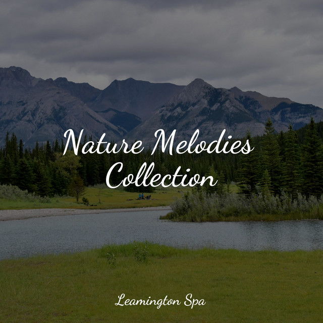 Nature Melodies Collection - Album by Deep Sleep Music Delta Binaural ...