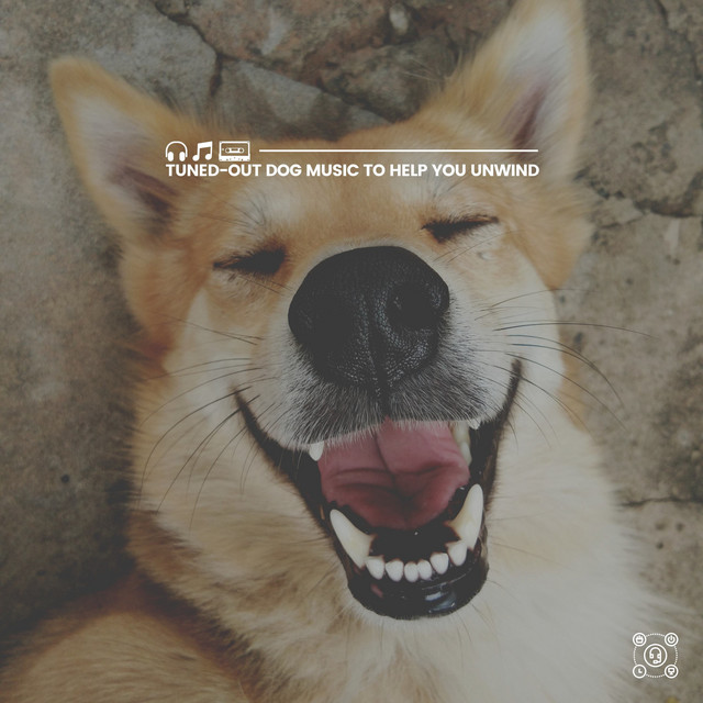 BPM and key for songs by Music for Calming Dogs | Tempo for Music for ...