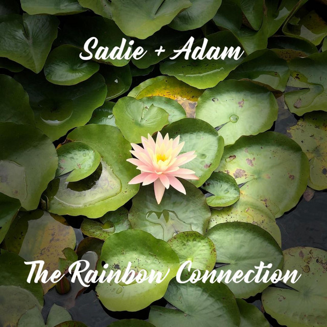 The Rainbow Connection - Single by Adam Fox | Spotify