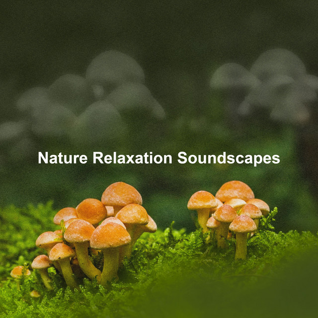 Nature Relaxation Soundscapes - Album by World of Nature | Spotify