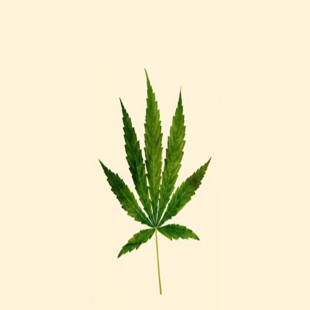 Weed expression - Single by Twest | Spotify