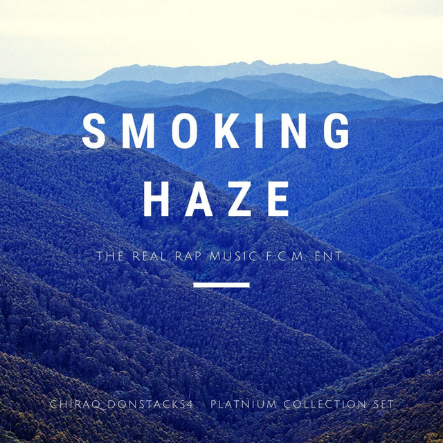 Smoking Haze - Single by DonStacks4 | Spotify