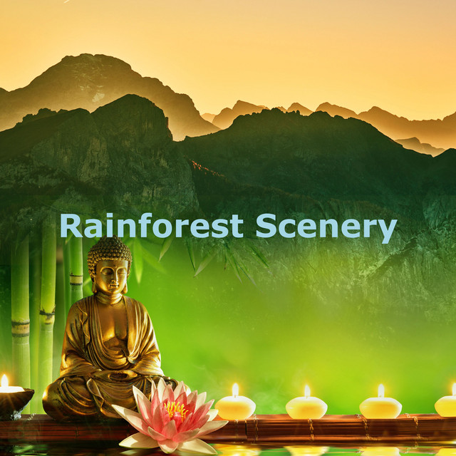 Rainforest Scenery - Album by Nature & Rainforest Sounds Collective ...