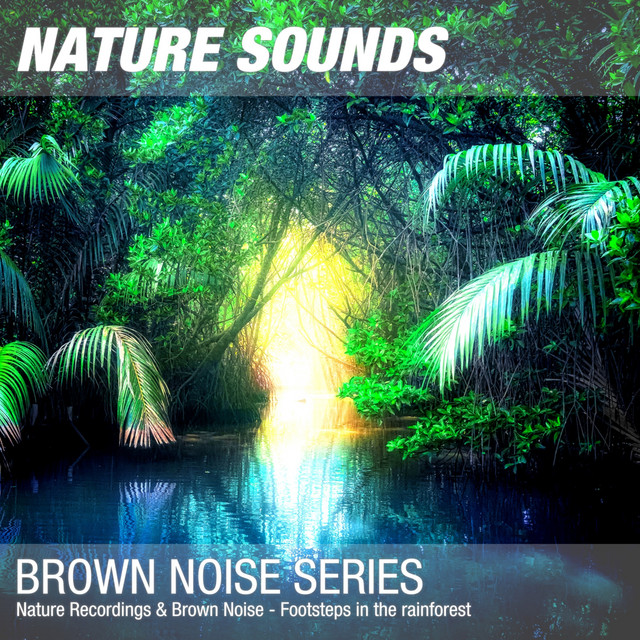 Nature Sounds for Sleep & Relaxation (Magical rainforest, cicadas ...