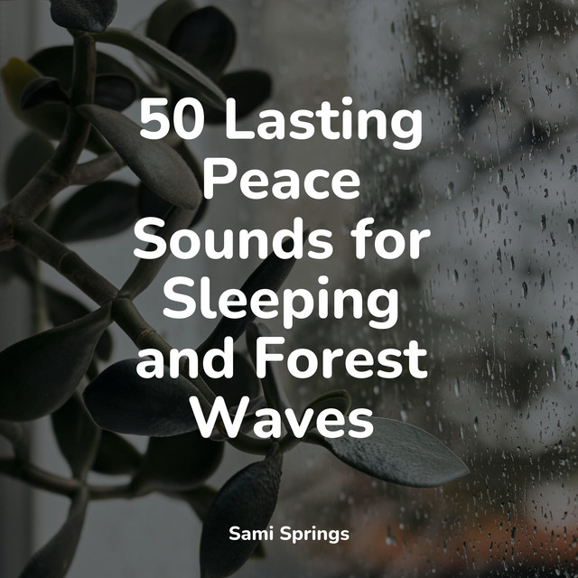 50 Lasting Peace Sounds for Sleeping and Forest Waves - Album by ...