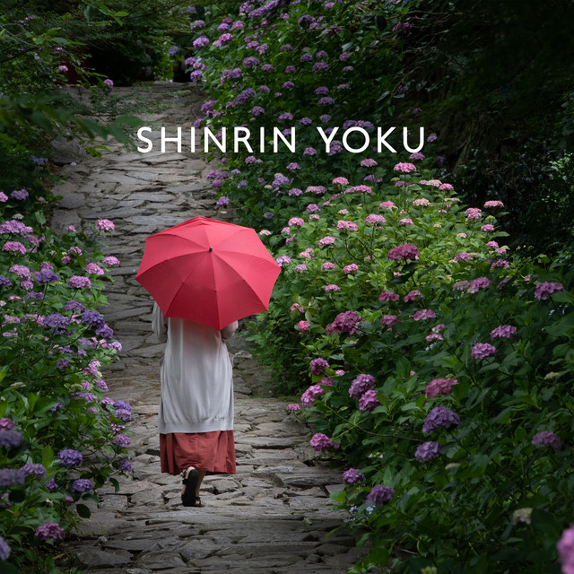 Shinrin Yoku - Connect With Nature Through Japanese Meditation Music ...