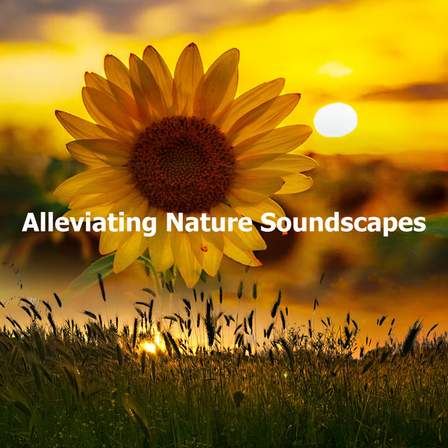 Alleviating Nature Soundscapes - Album by The Mother Nature Experience ...