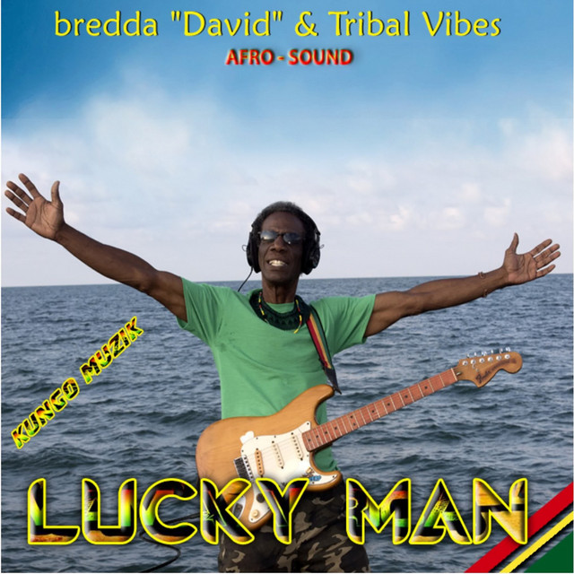Bredda "David" & Tribal Vibes | Spotify