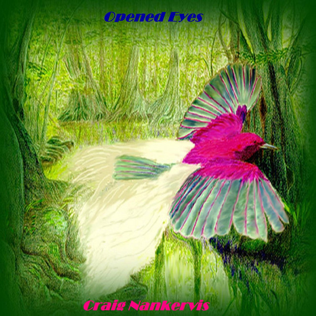 Opened Eyes - Single by Craig Nankervis | Spotify