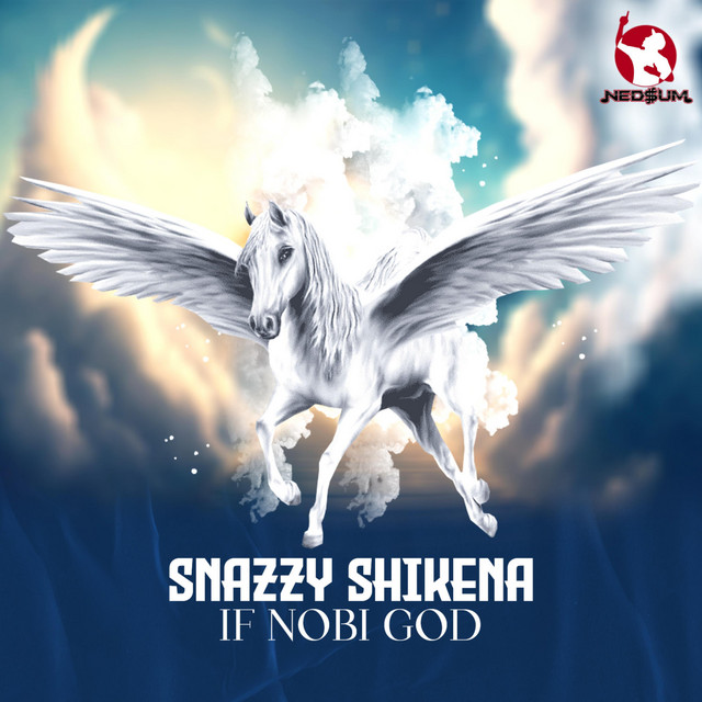 IF NOBI GOD - Single by Snazzy Shikena | Spotify