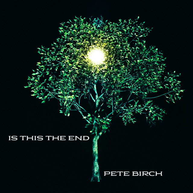 Is this the end - Single by Pete Birch | Spotify