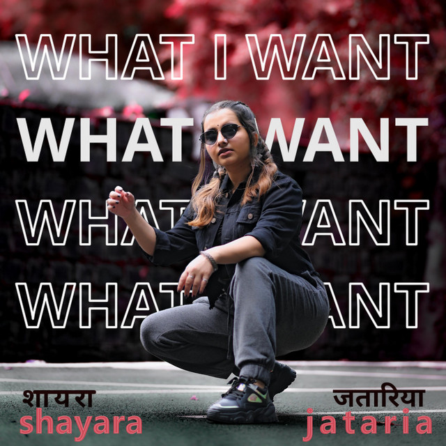 What I Want - Single by Shayara | Spotify