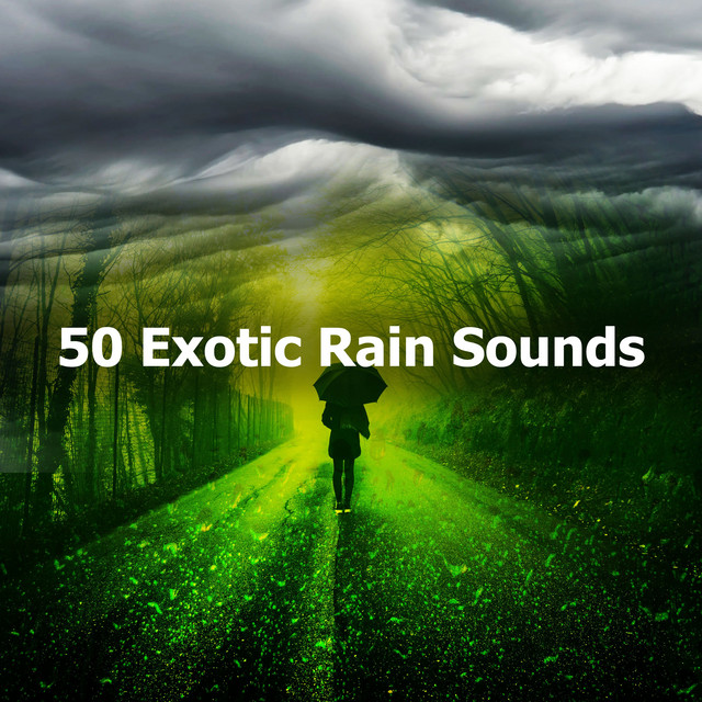 50 Exotic Rain Sounds - Album by Rain Sounds Collection | Spotify