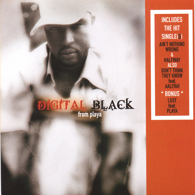 Memoirs of a R&B Thug - Album by Digital Black From Playa | Spotify