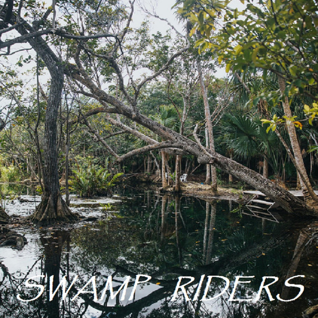 Highway 38 - Single by Swamp Riders | Spotify