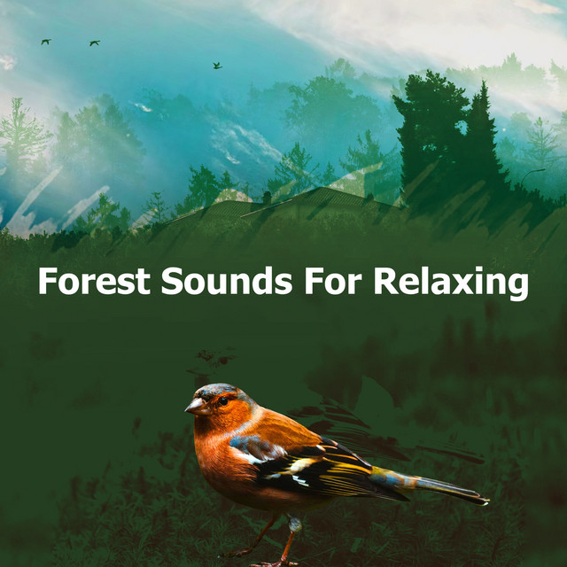 Forest Sounds For Relaxing - Album by Sounds of the Forest | Spotify