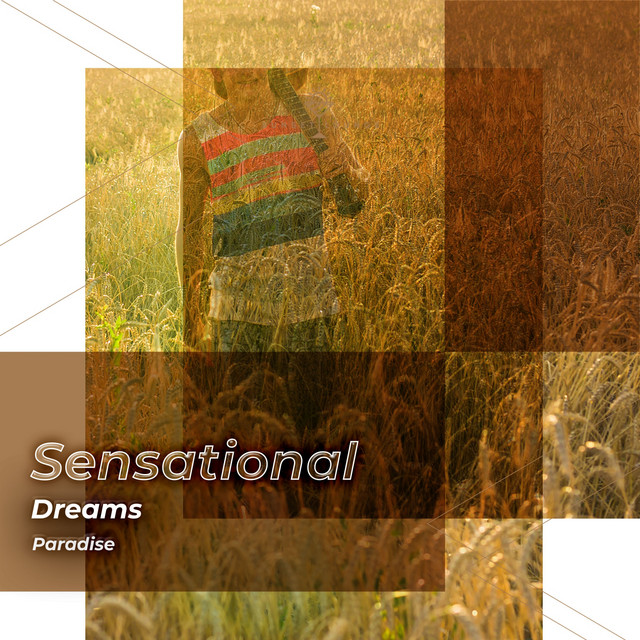 zZz Sensational Dreams Paradise zZz - Album by Brazilian Lounge Project ...