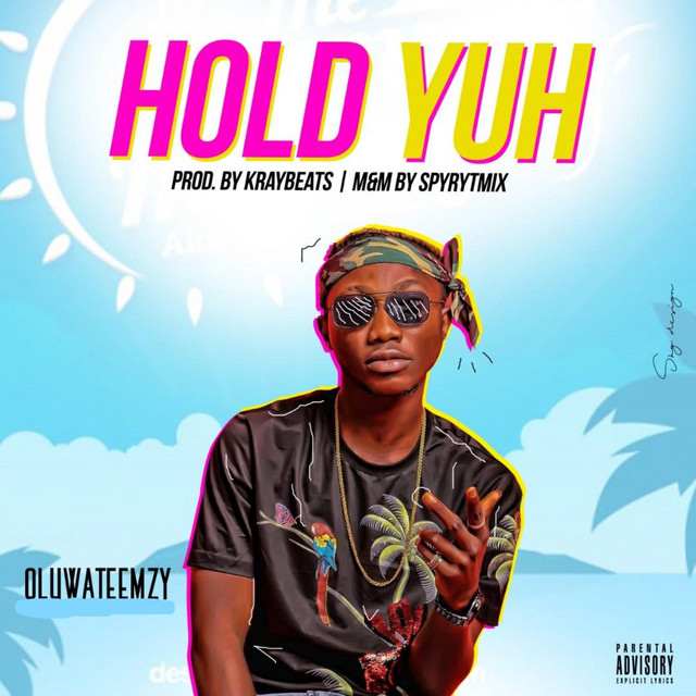 Hold YUH Single De Oluwateemzy Spotify