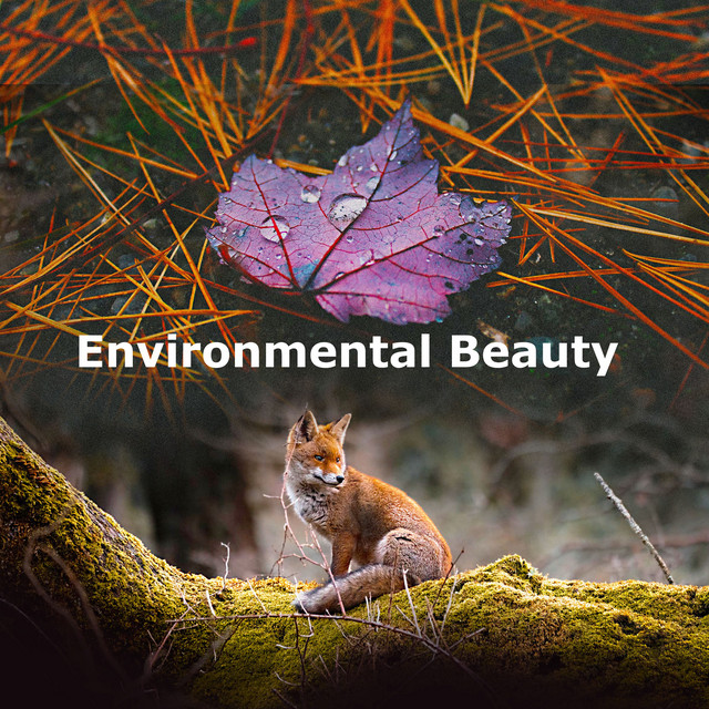 Environmental Beauty - Album by Naturalis | Spotify