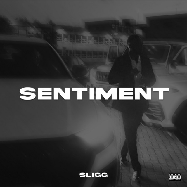 Sentiment - Single by Sligg | Spotify