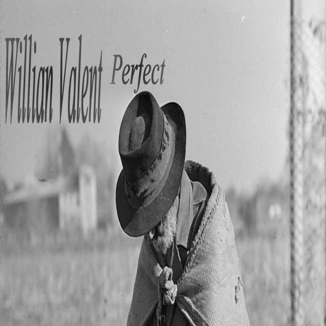 Perfect - song by Willian Valent | Spotify