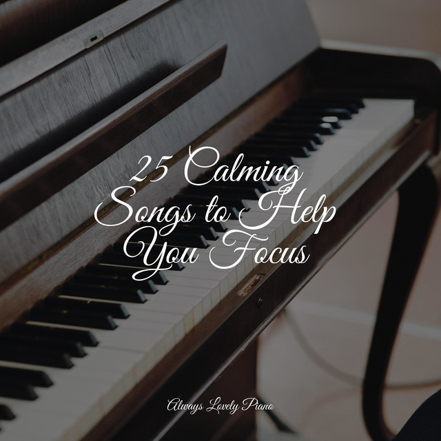 25 Calming Songs to Help You Focus - Album by Baby Sleep Music | Spotify