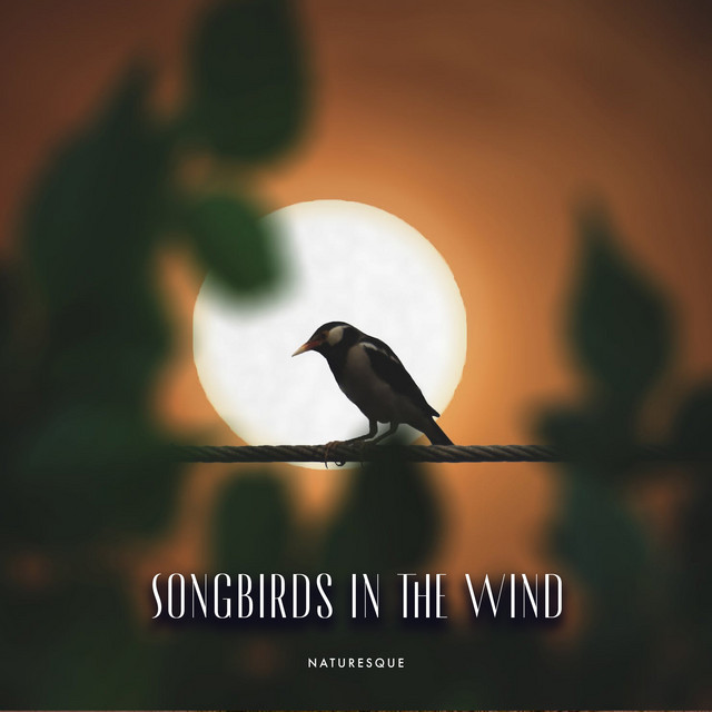 Songbirds in the Wind - Album by Naturesque | Spotify