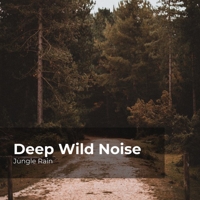 Deep Wild Noise - Album by Jungle Rain | Spotify