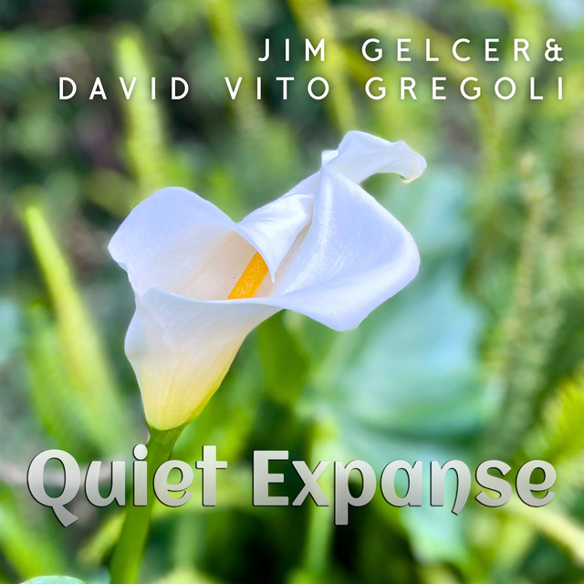 Forgiveness - song and lyrics by Jim Gelcer, David Vito Gregoli | Spotify