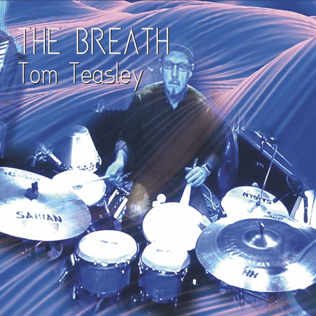 Shadows of Courage - song and lyrics by Tom Teasley | Spotify