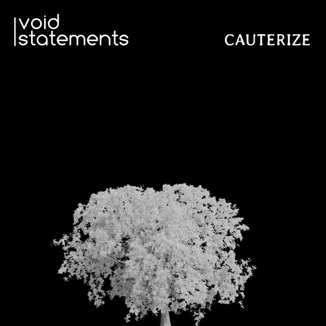 Cauterize - Single by Void Statements | Spotify