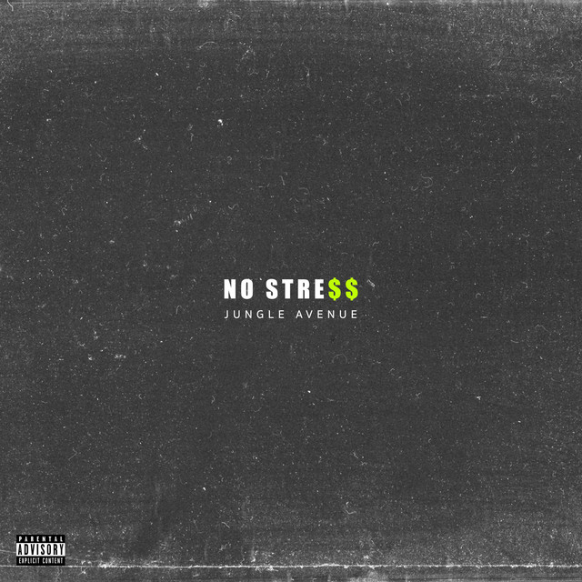 No Stress - song and lyrics by Jungle Avenue, Dizii, Zeke Laryea, Nana ...