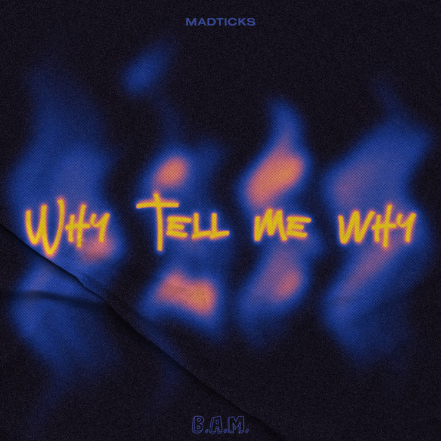 Why Tell Me Why - Single by Madticks | Spotify