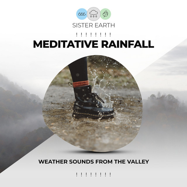 It's Wet Out - song and lyrics by Rain Sounds & White Noise | Spotify