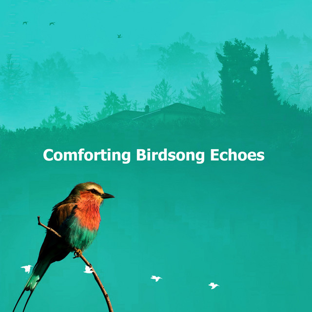 Comforting Birdsong Echoes - Album by Calm Bird Sounds | Spotify