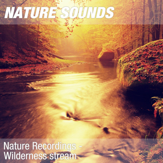 Nature Recordings - Wilderness stream - Album by Nature Sounds | Spotify