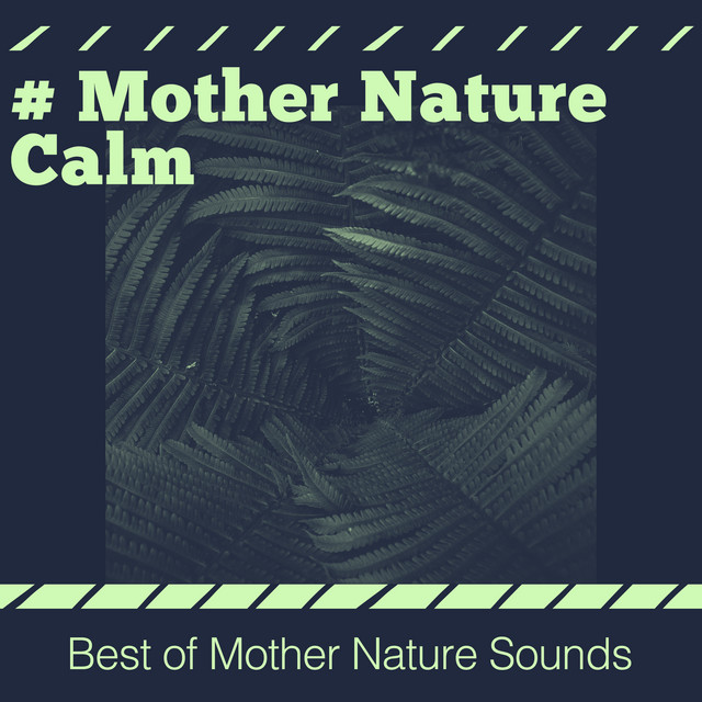 Calm Song Birds - song and lyrics by Best of Mother Nature Sounds | Spotify