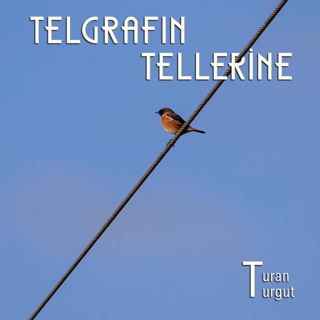 Telgrafın Tellerine - Single by Turan Turgut | Spotify