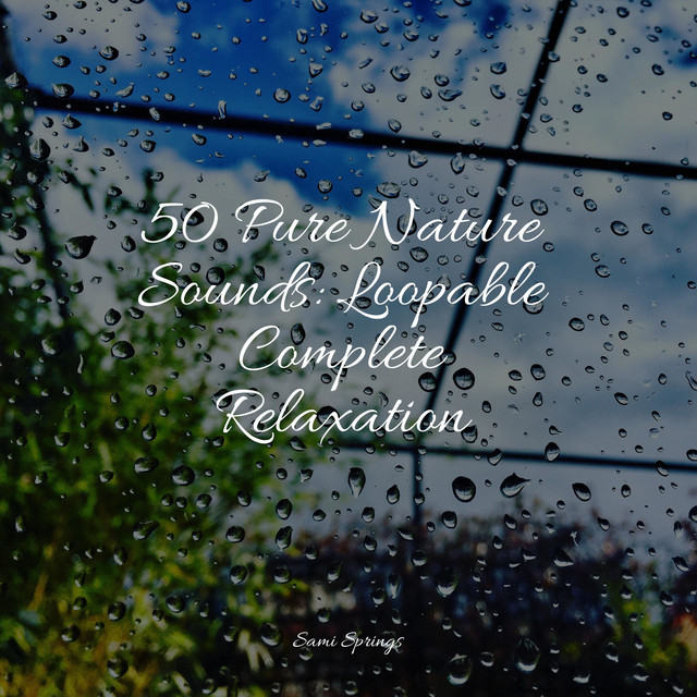 50 Pure Nature Sounds: Loopable Complete Relaxation - Album by Forest ...